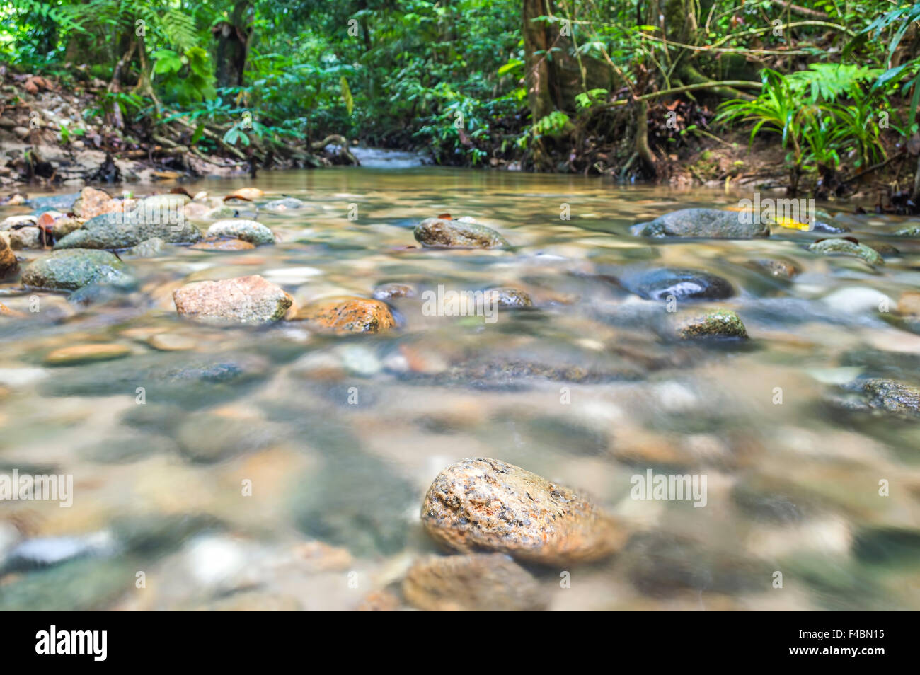 Natural water stream at deep of tropical forest Stock Photo - Alamy