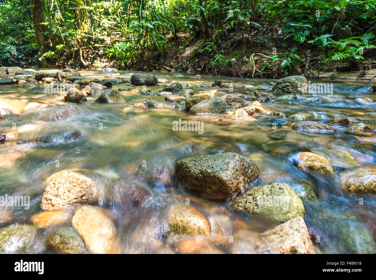 Natural water stream at deep of tropical forest Stock Photo - Alamy
