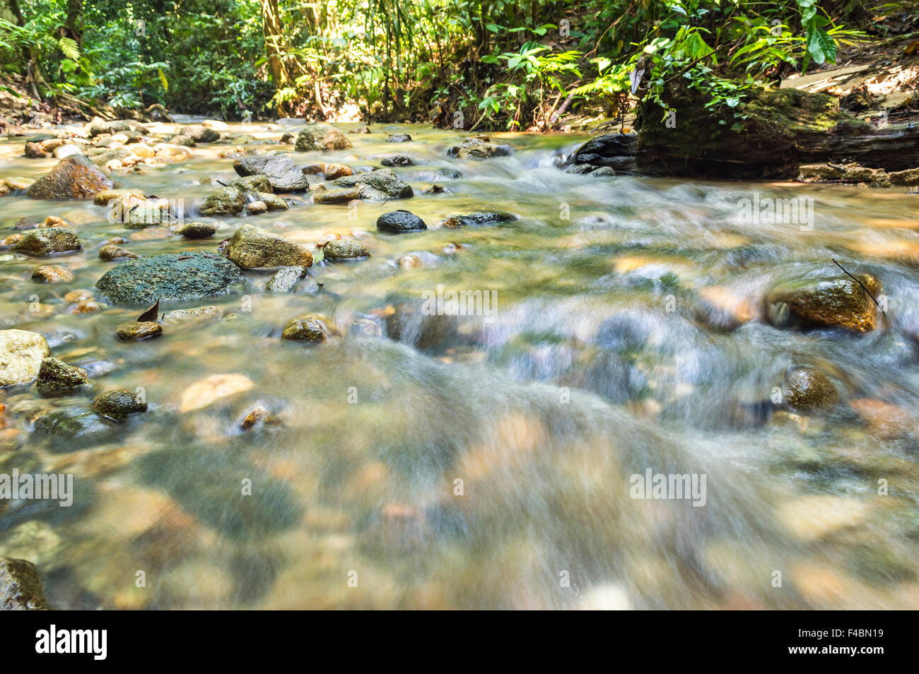 Natural water stream at deep of tropical forest Stock Photo - Alamy