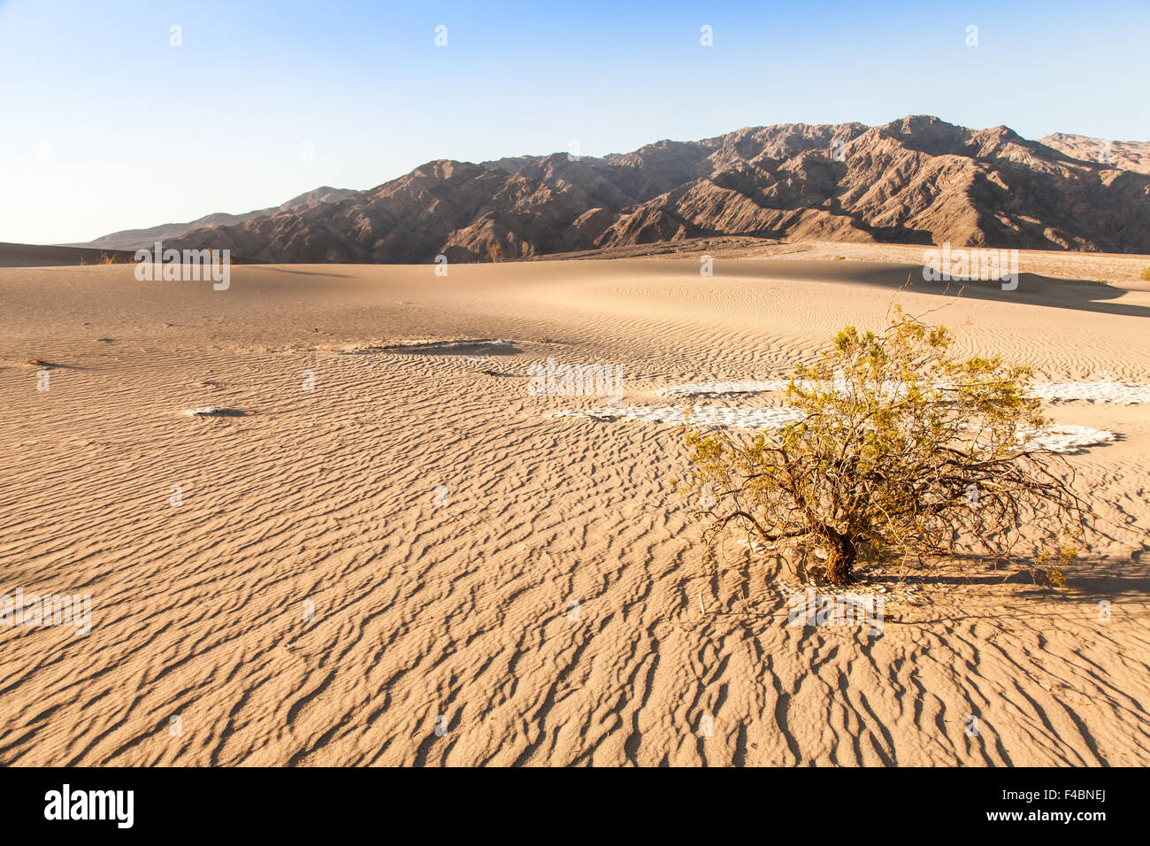 Death Valley Desert Stock Photo - Alamy