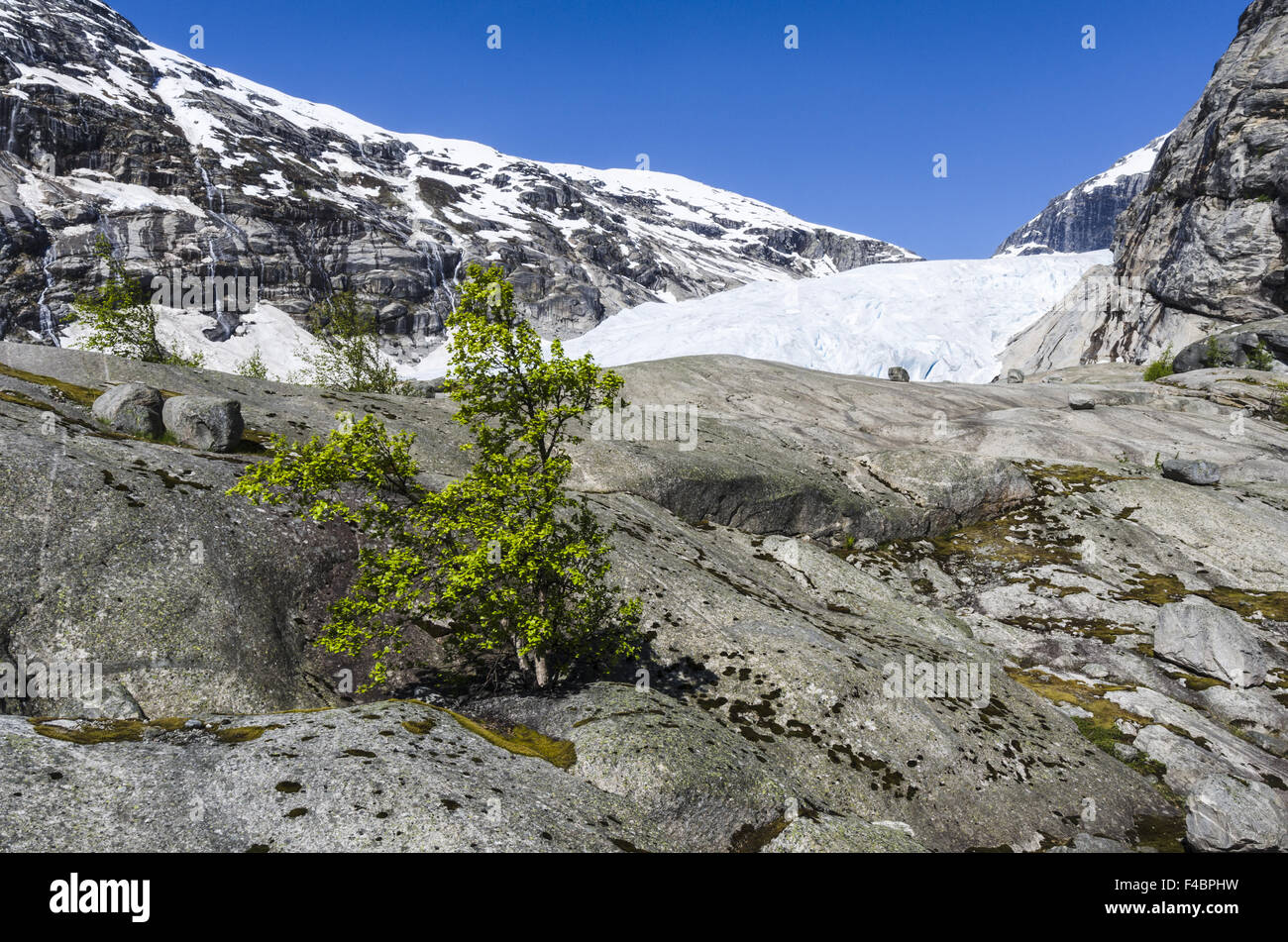 Jostedalsbreen national park jostedalsbreen nationalpark hi-res stock ...