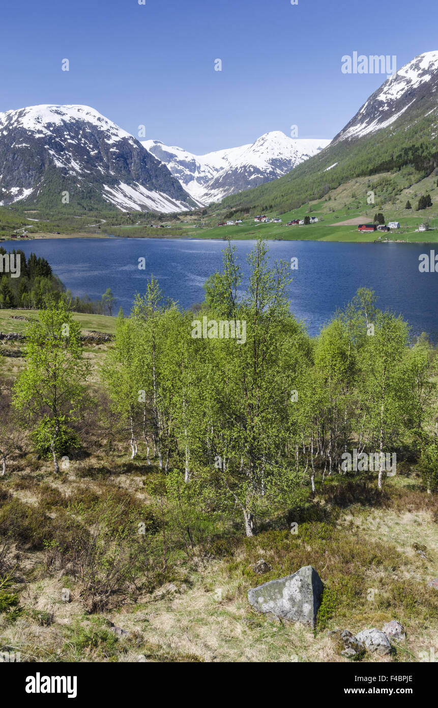 Sogndal sogn norway hi-res stock photography and images - Alamy