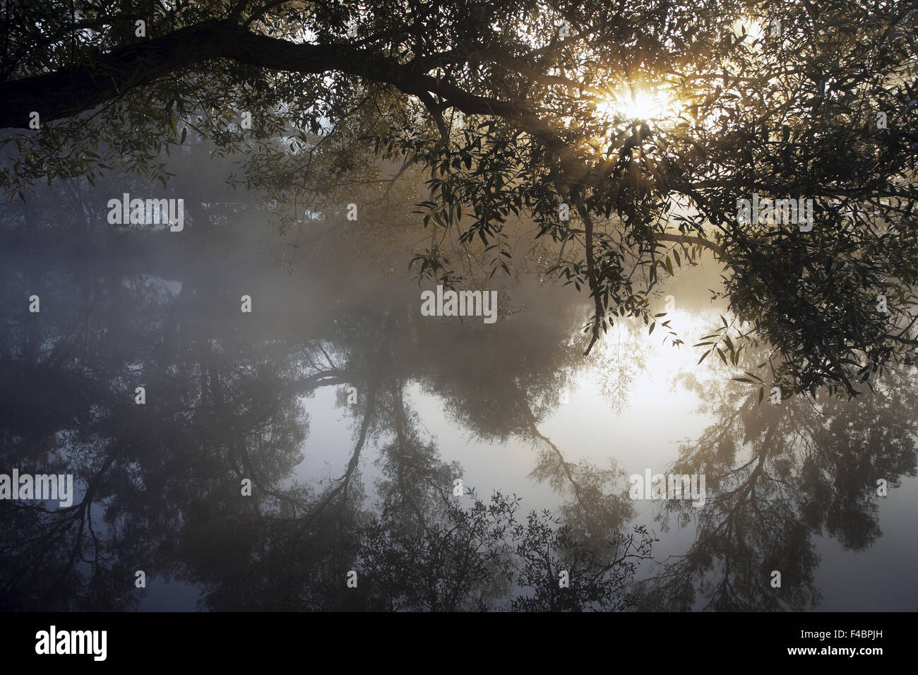 The river Ruhr, Witten, Germany Stock Photo - Alamy