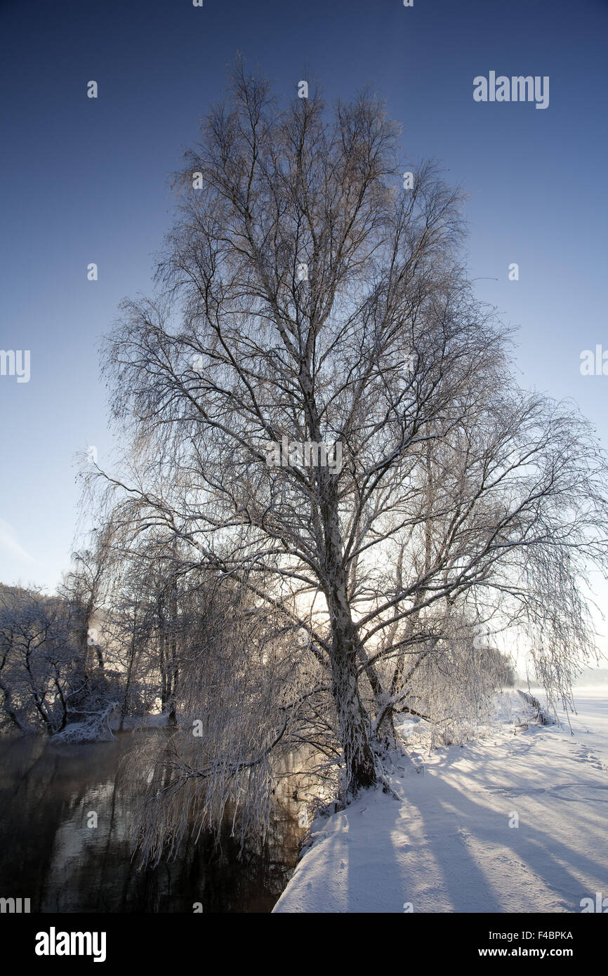 The river Ruhr, Witten, Germany Stock Photo - Alamy