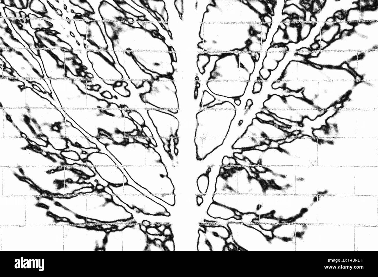 Wall with cast shadow patterns hi-res stock photography and images - Alamy