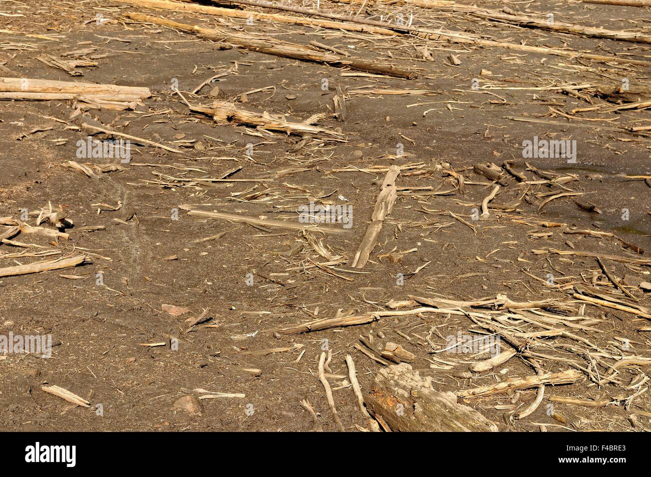Edge of lake background hi-res stock photography and images - Alamy