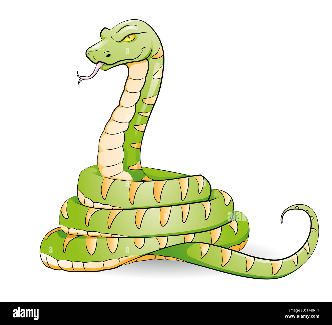 Sanke hi-res stock photography and images - Alamy