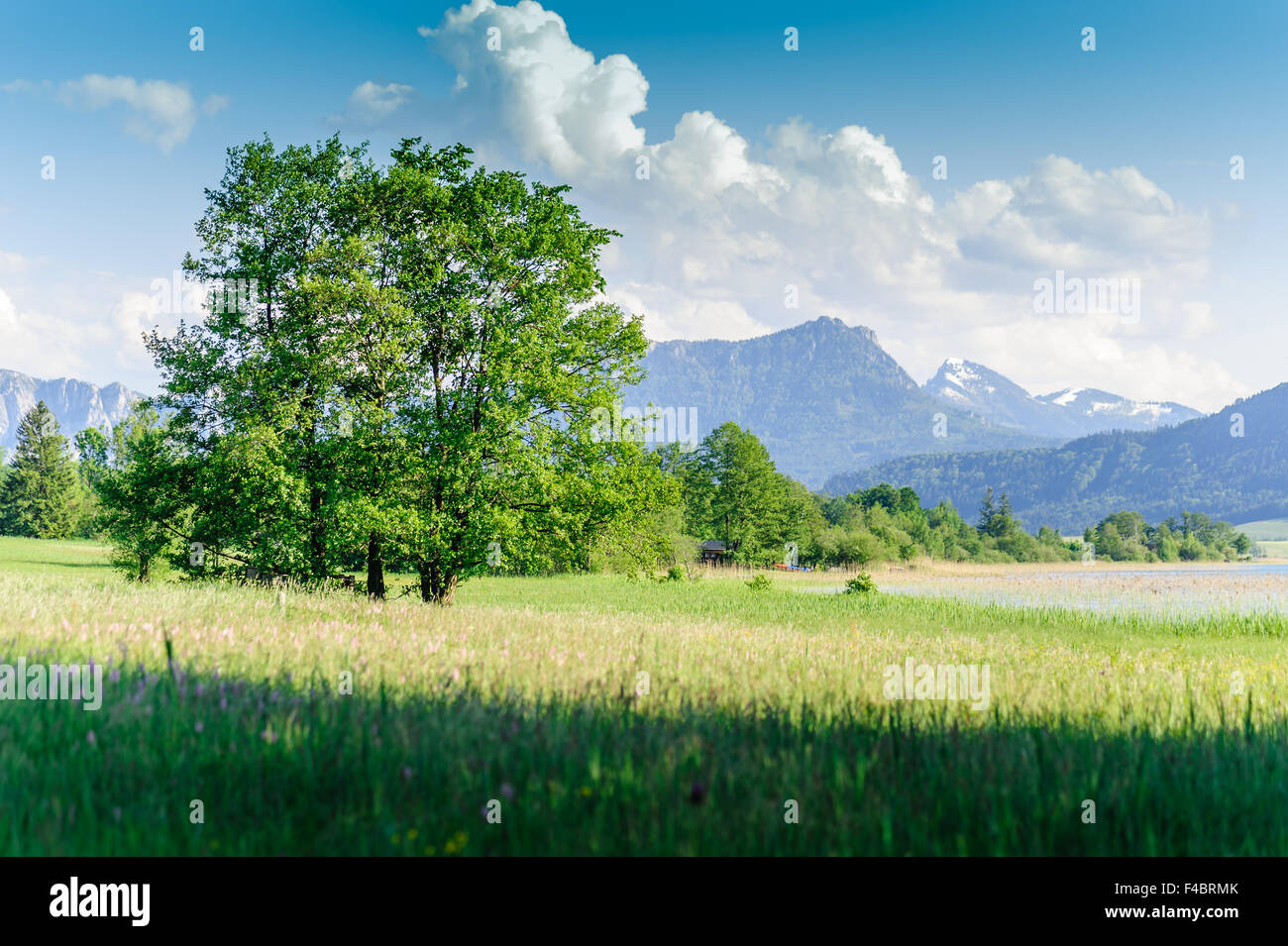 Austrian tourist region hi-res stock photography and images - Alamy