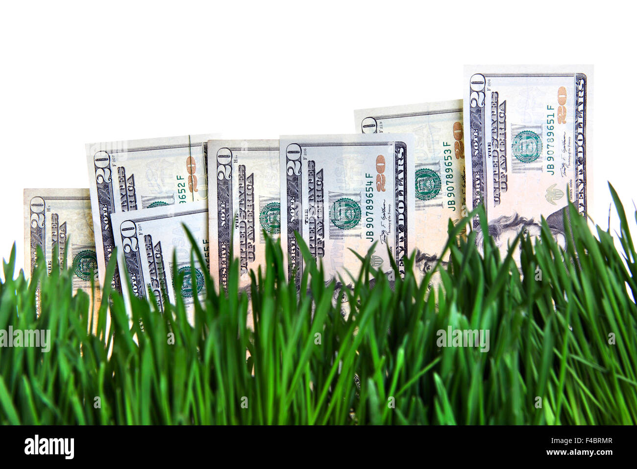 Concept of growing hi-res stock photography and images - Alamy