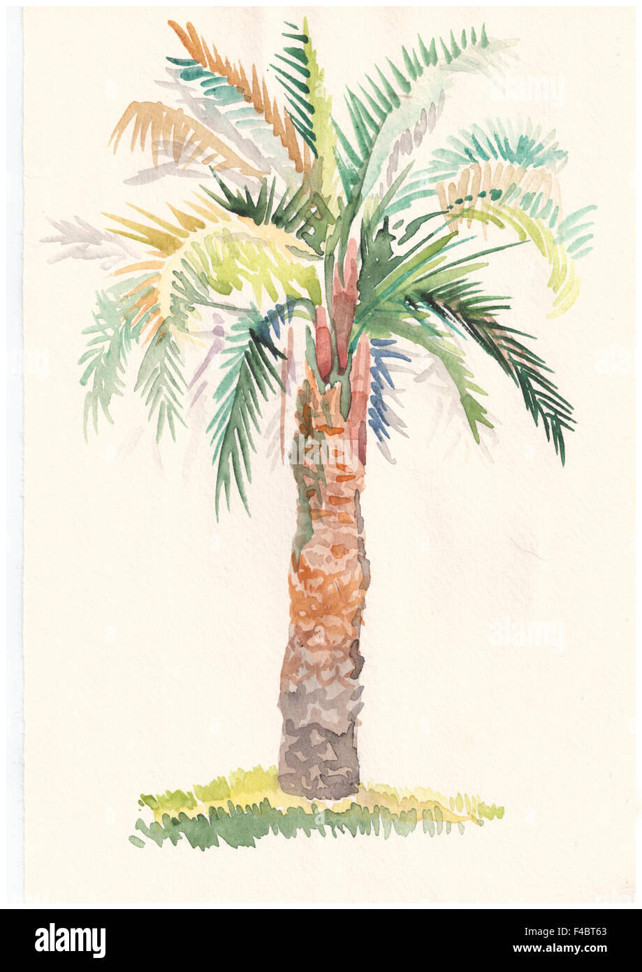 Palm drawing hi-res stock photography and images - Alamy