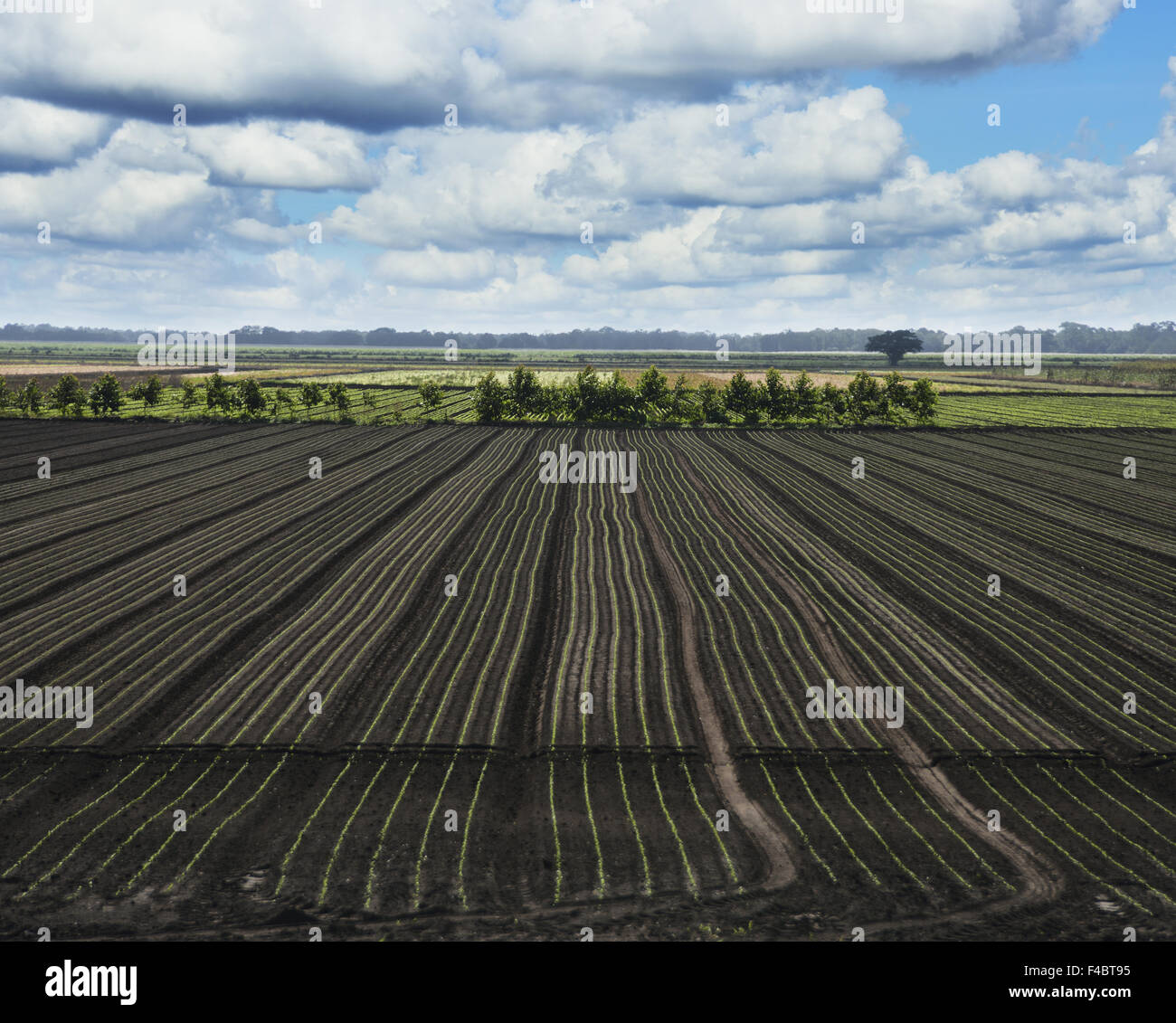 Sown fields hi-res stock photography and images - Alamy