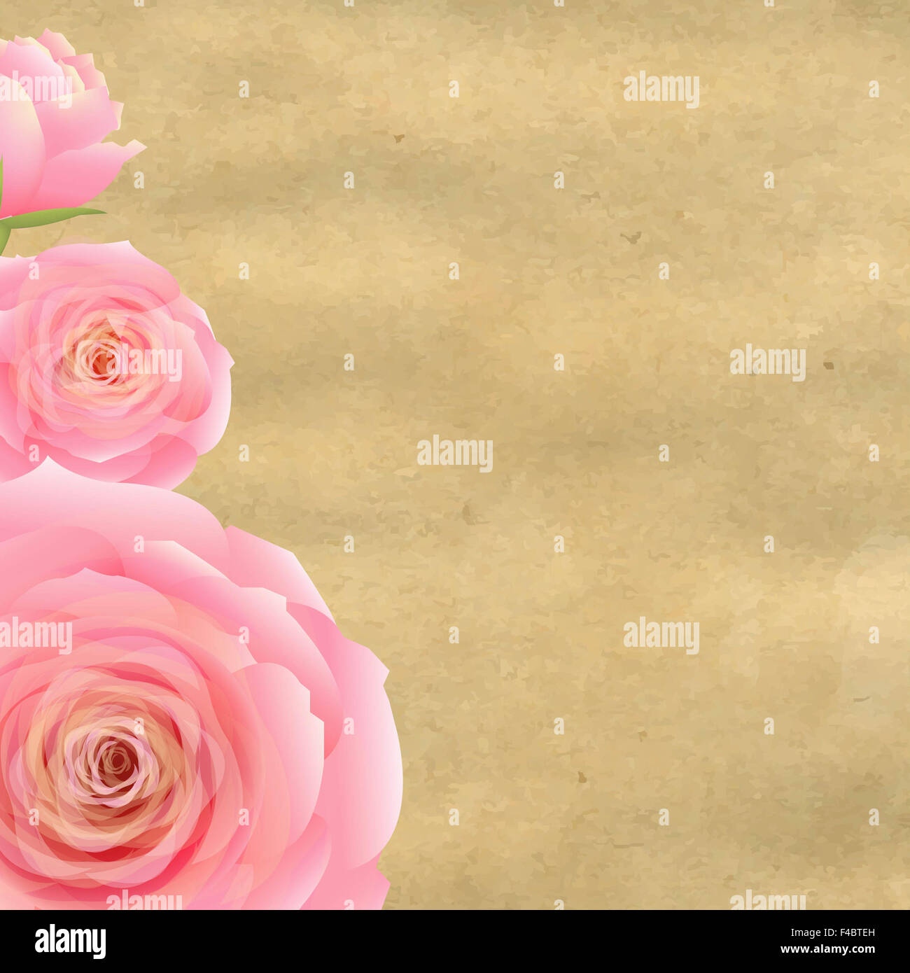 Pink Rose With Old Paper Stock Photo - Alamy