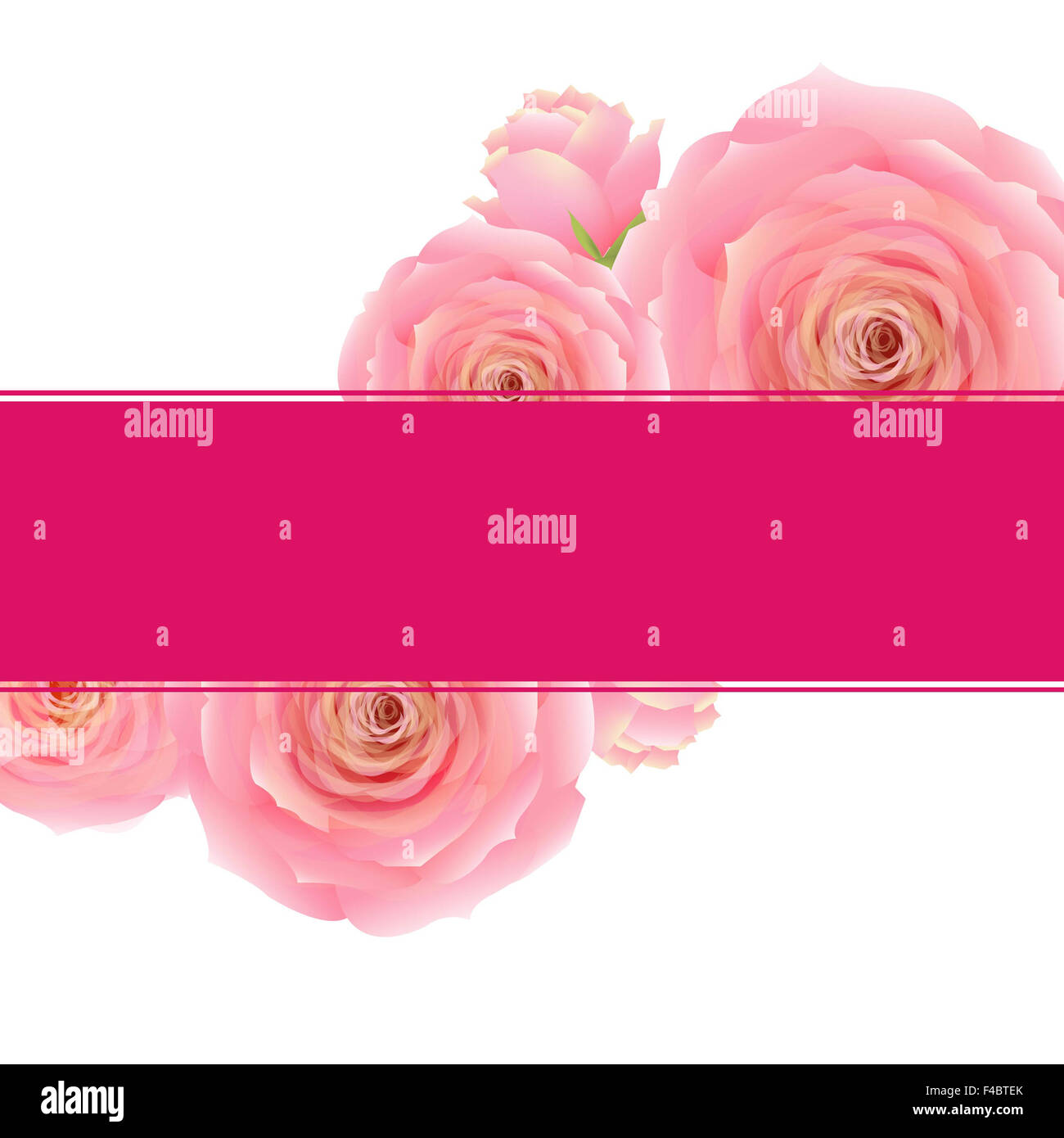 Pink Rose Banner Stock Photo - Alamy