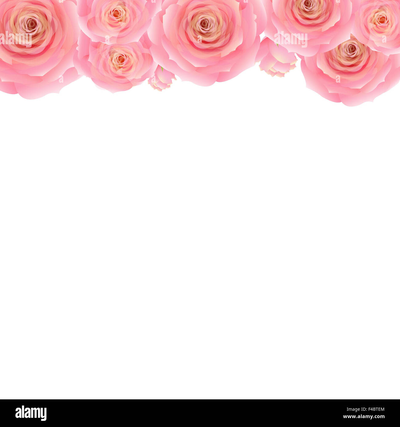 Pastel Pink Rose Border Stock Photo - Alamy