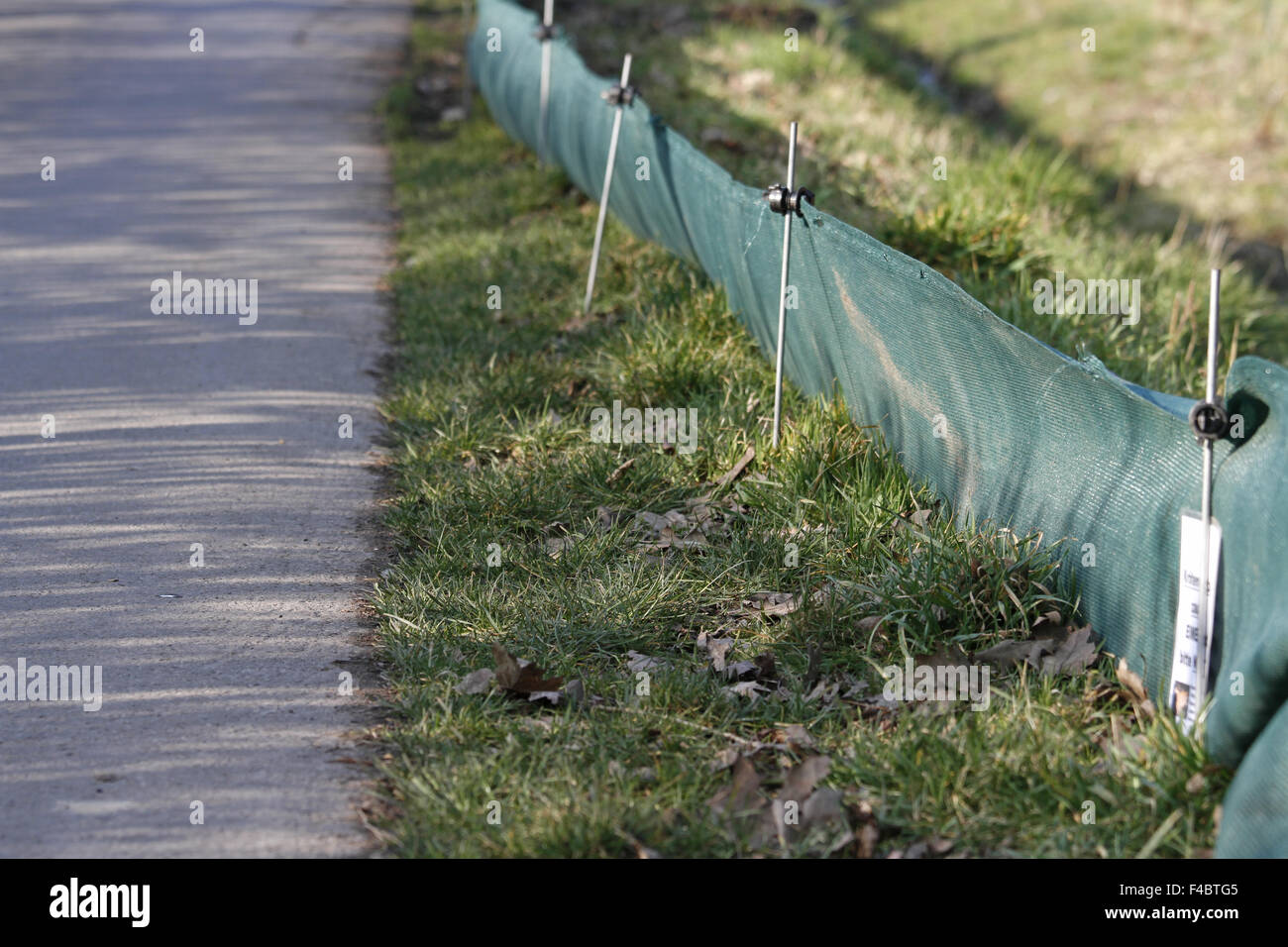 Amphibian fence hi-res stock photography and images - Alamy