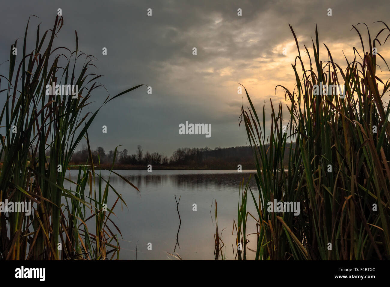 Dream spot hi-res stock photography and images - Alamy