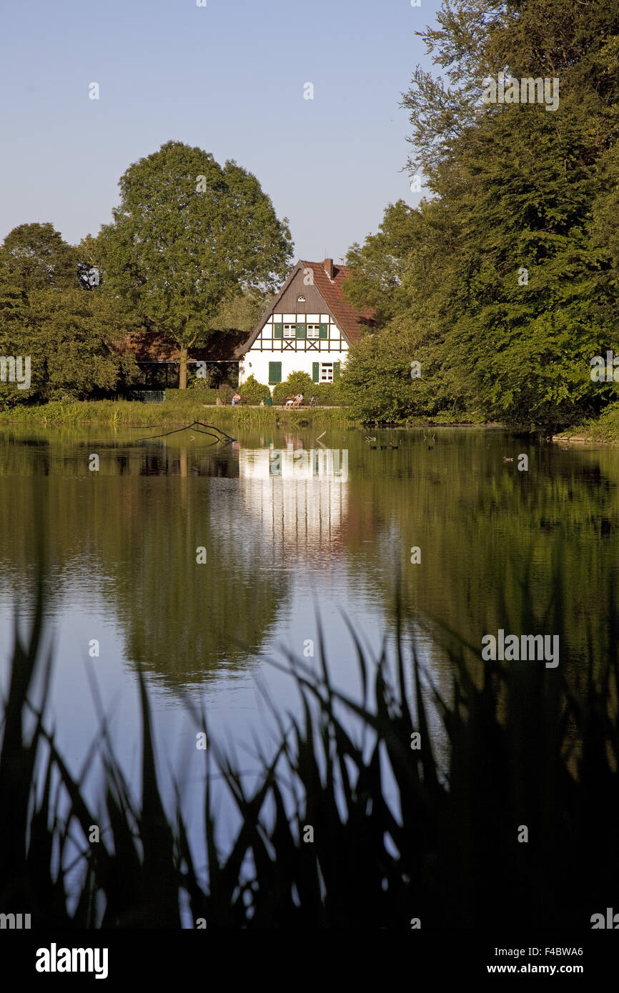 Stadtwald buer hi-res stock photography and images - Alamy