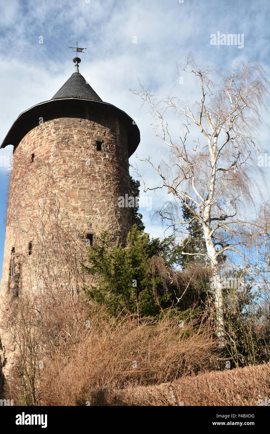 Half Shell Tower High Resolution Stock Photography and Images - Alamy