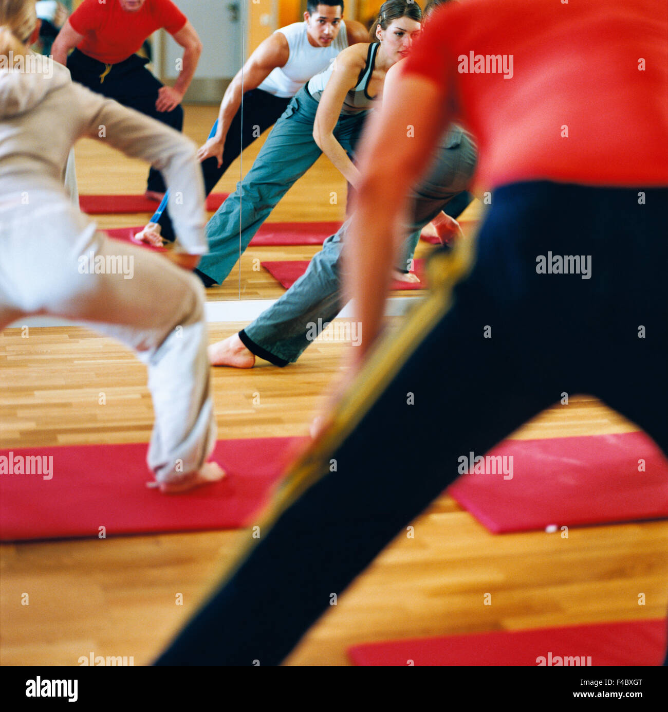 20-24 years activity adults only aerobics athlete bodybuilding color ...