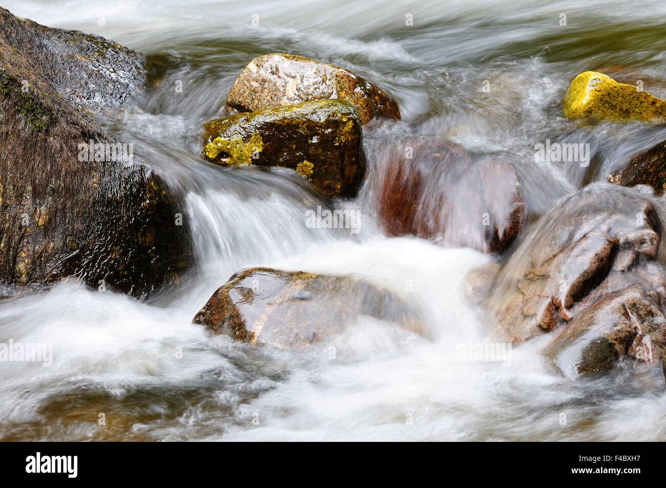Running water and stones hi-res stock photography and images - Alamy