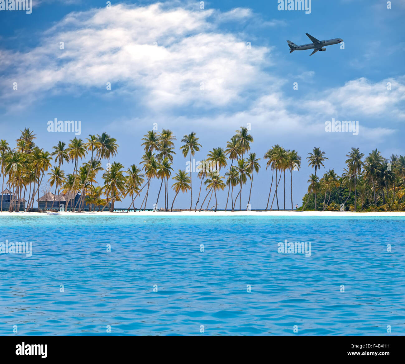 view of the ocean and a palm tree Stock Photo - Alamy