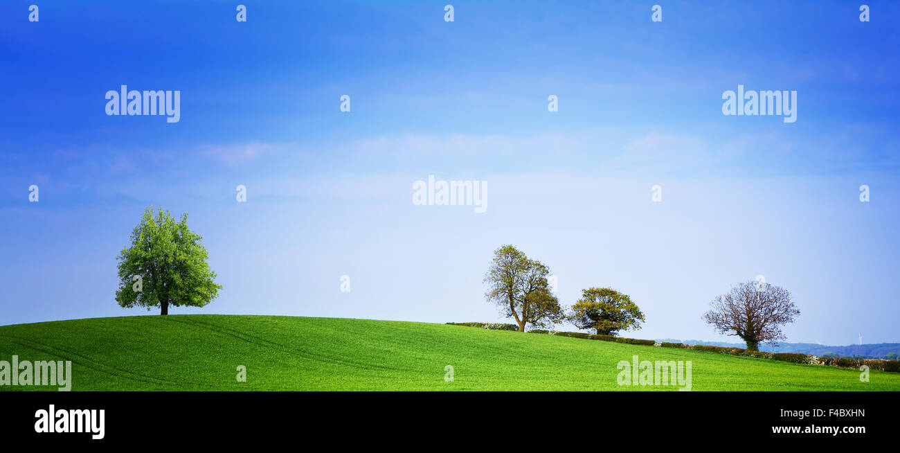 Spring panorama hi-res stock photography and images - Alamy
