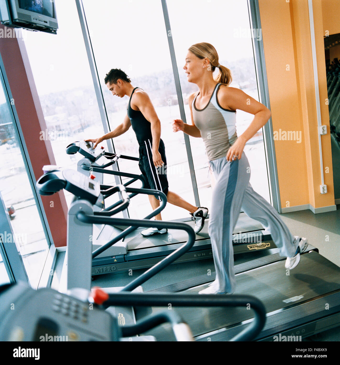 20-24 years activity adults only athlete bodybuilding color image ...