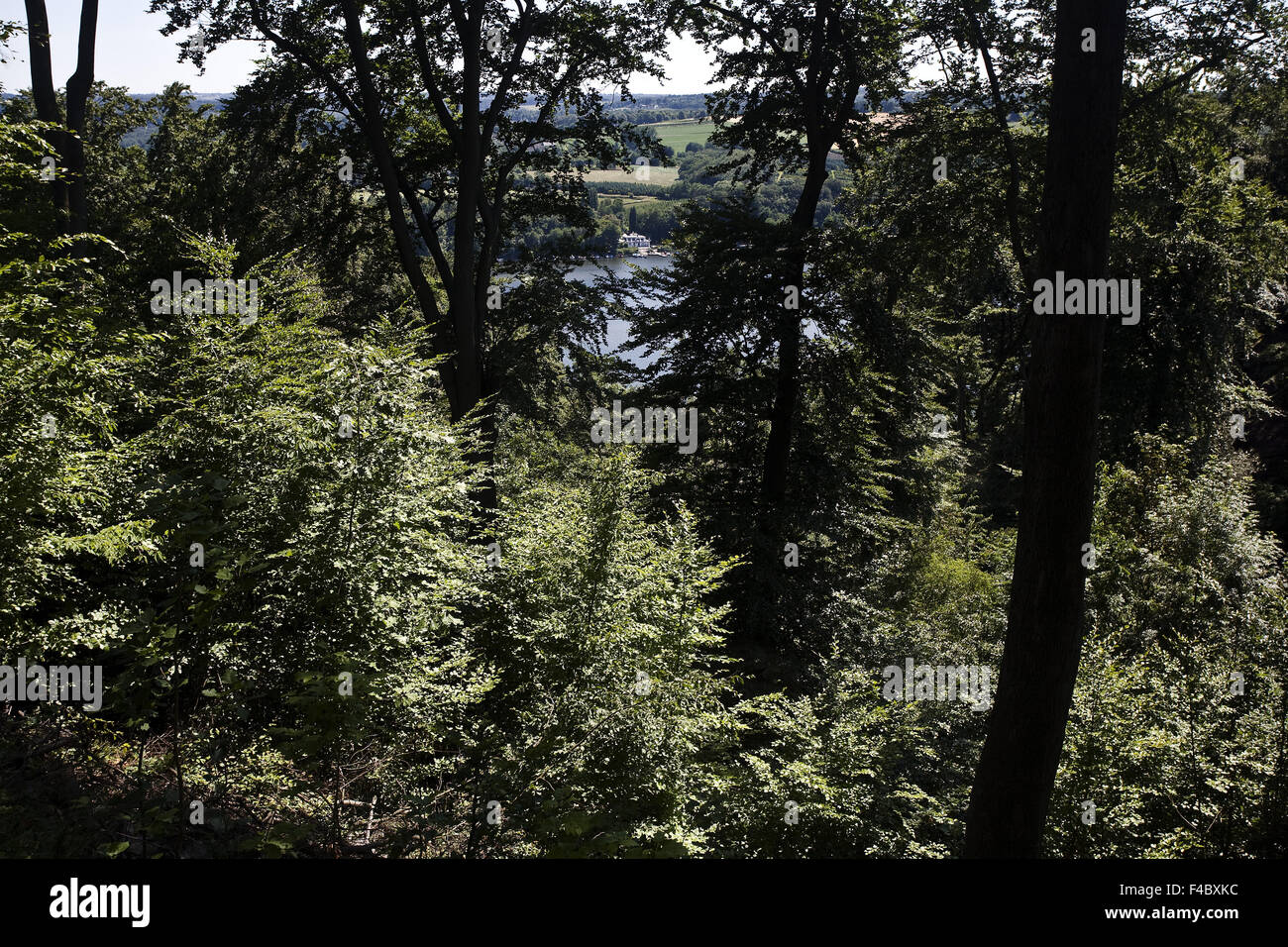Trees with Baldeneysee lake, Essen, Germany Stock Photo - Alamy