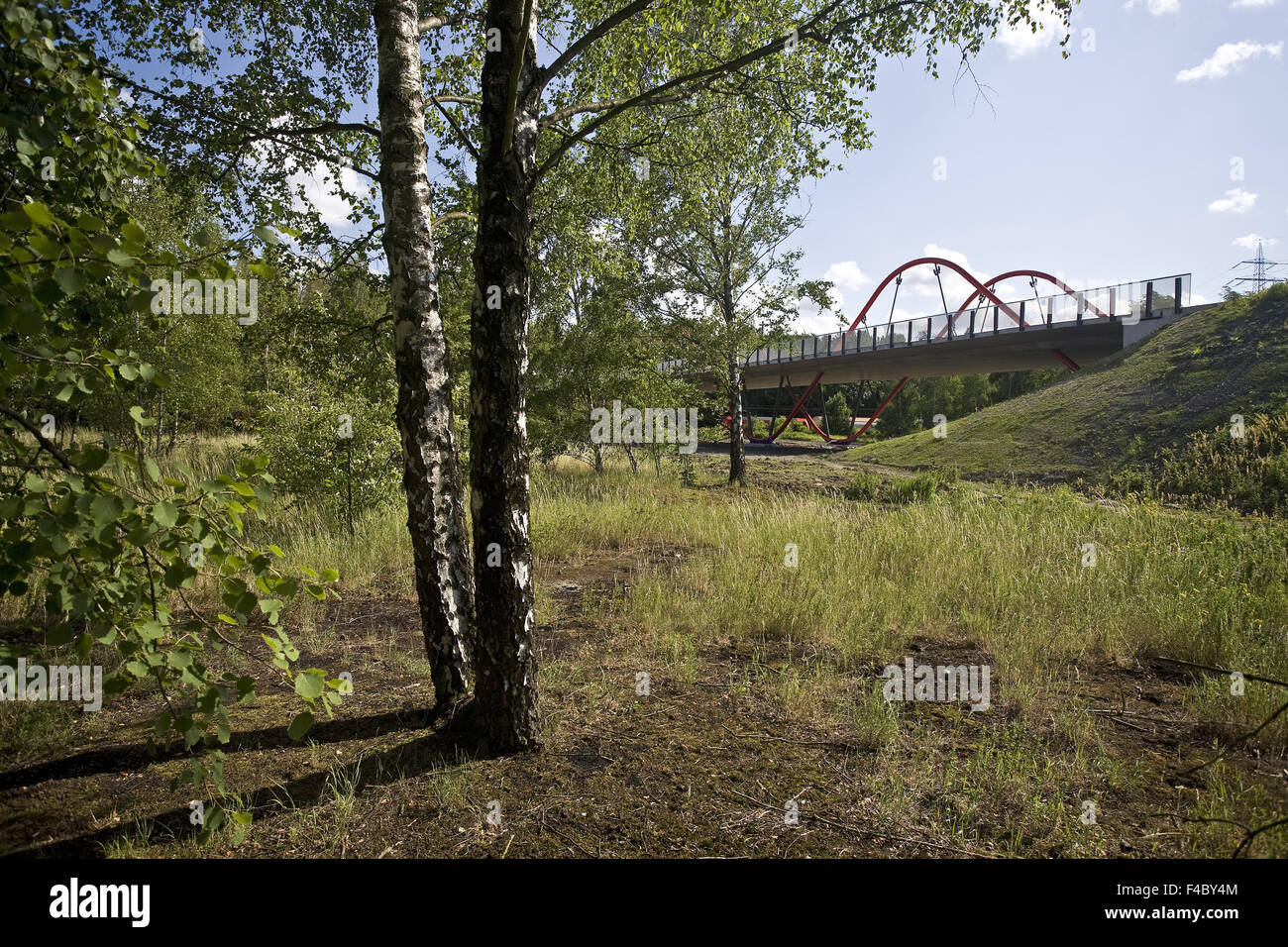 Park track hi-res stock photography and images - Alamy