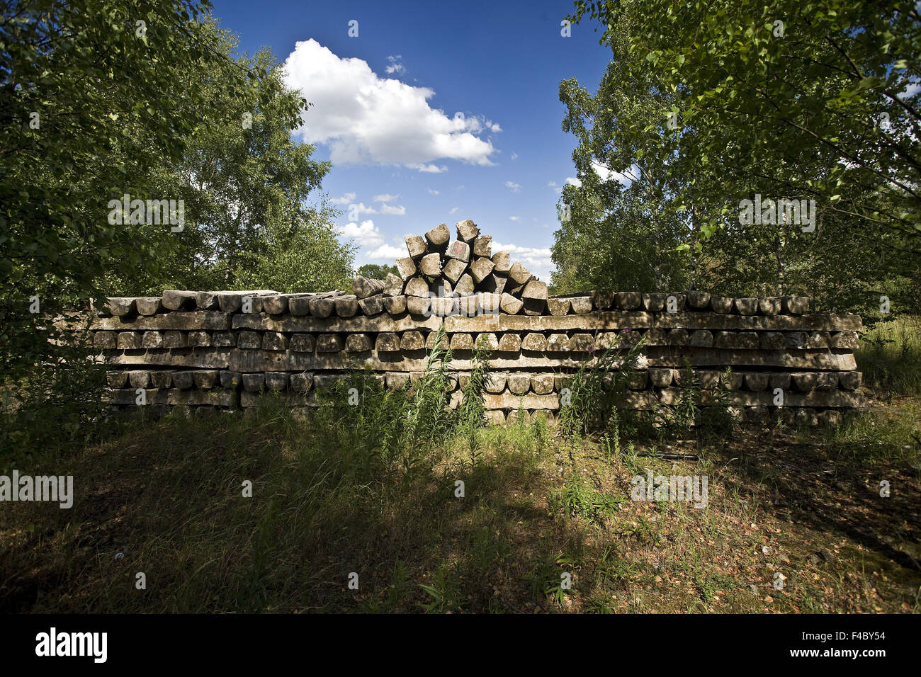 Park track hi-res stock photography and images - Alamy