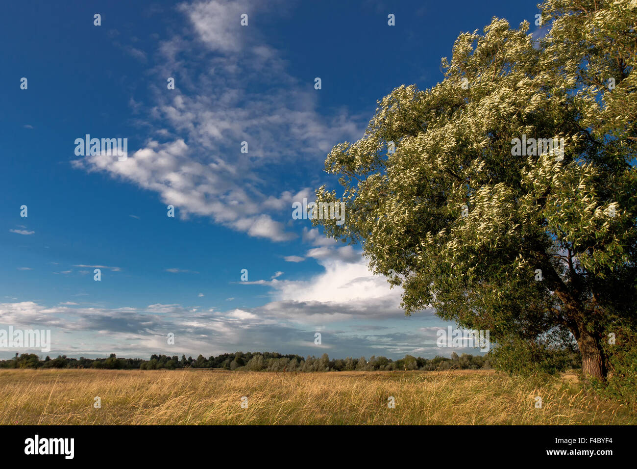 Field 3 hi-res stock photography and images - Alamy