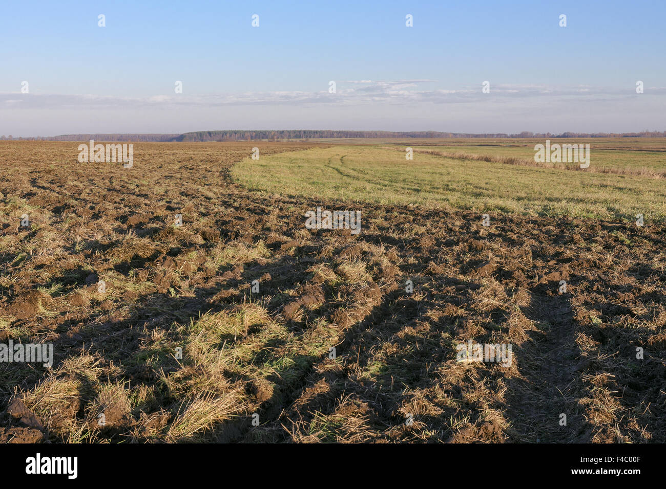Sowing the earth hi-res stock photography and images - Alamy