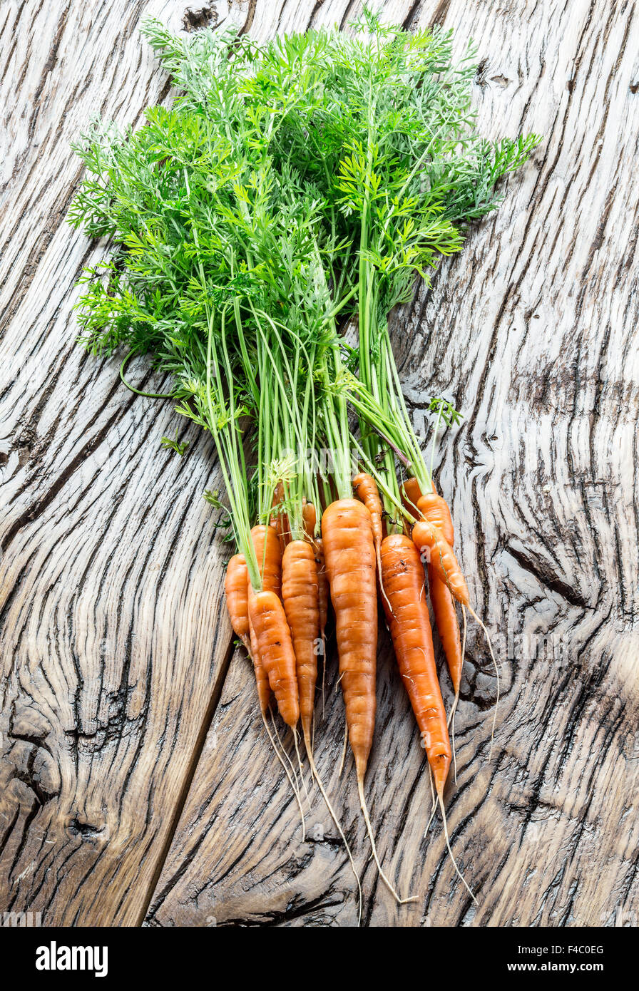 Carrots shoots vegetable hi-res stock photography and images - Alamy