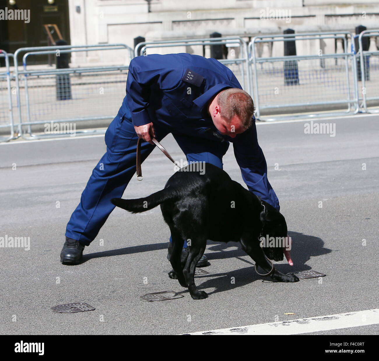 Police sniffer dog hi-res stock photography and images - Alamy