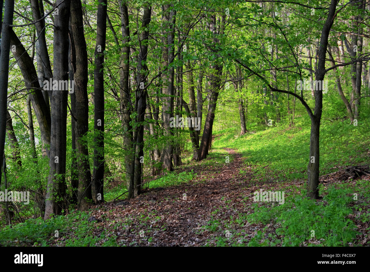 First greens hi-res stock photography and images - Alamy