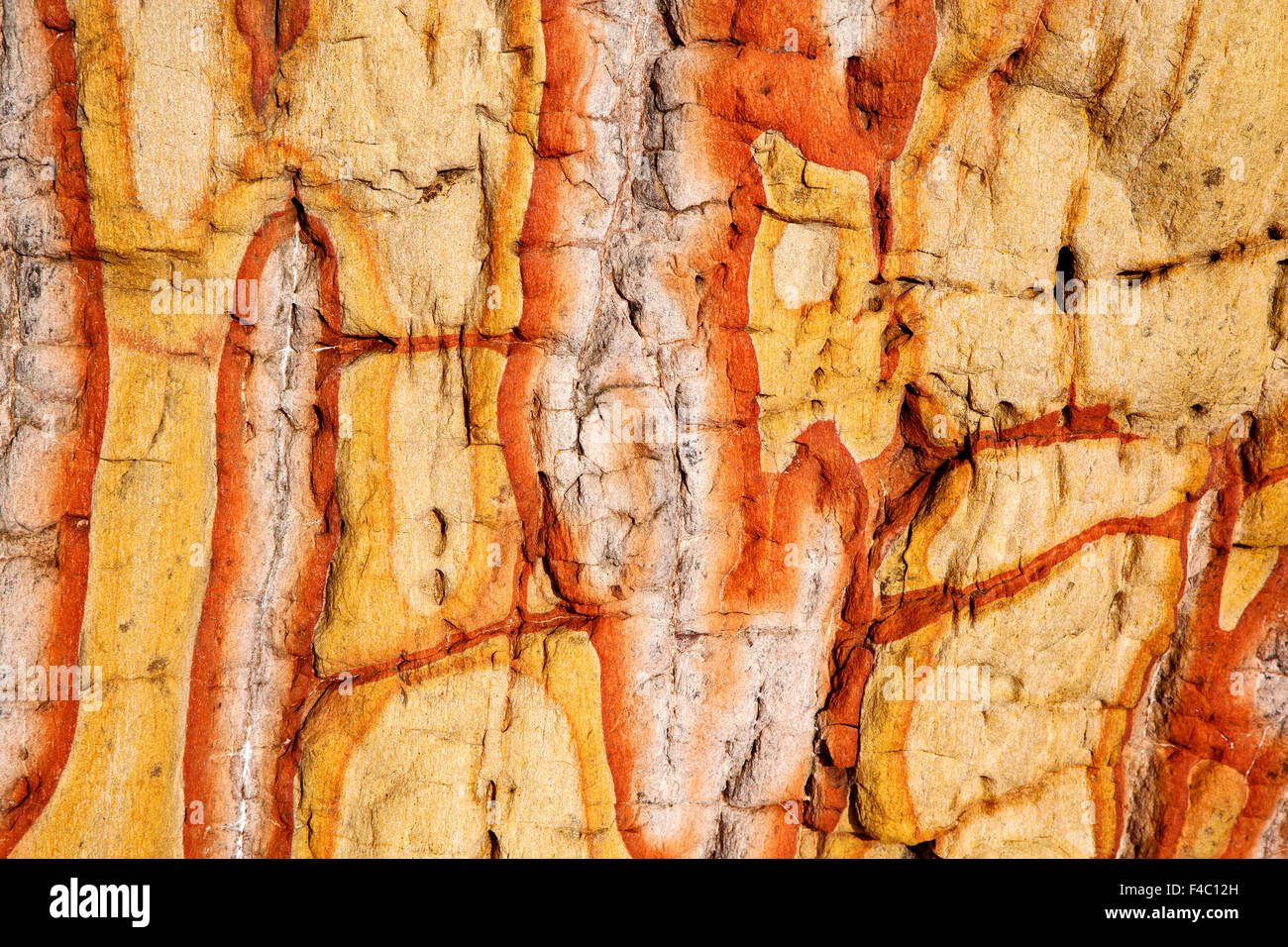 lanzarote spain abstract texture of a broke stone and lichens Stock ...