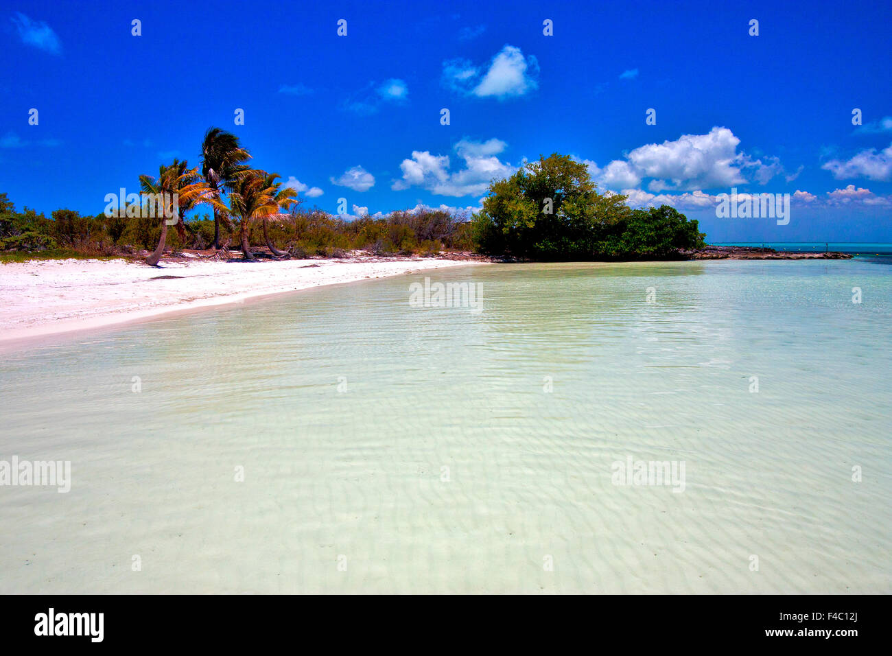 coastline and rock in the blue lagoon relax of isla contoy mexico Stock ...