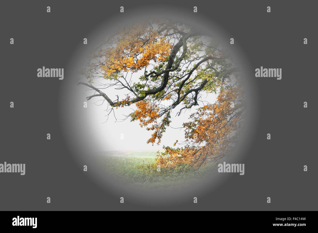 World beginning hi-res stock photography and images - Alamy