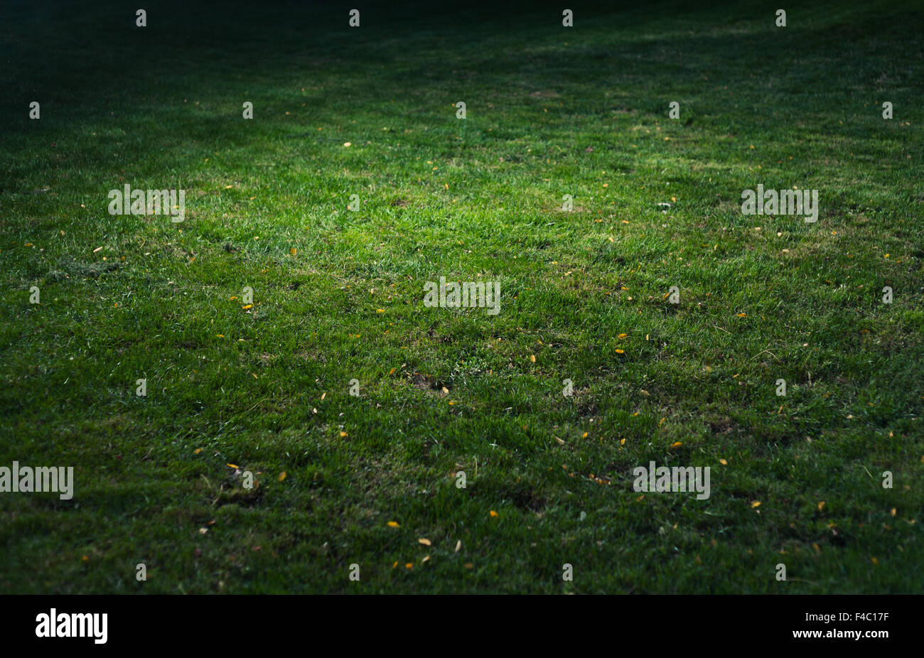 Green grass spot vignette Stock Photo - Alamy