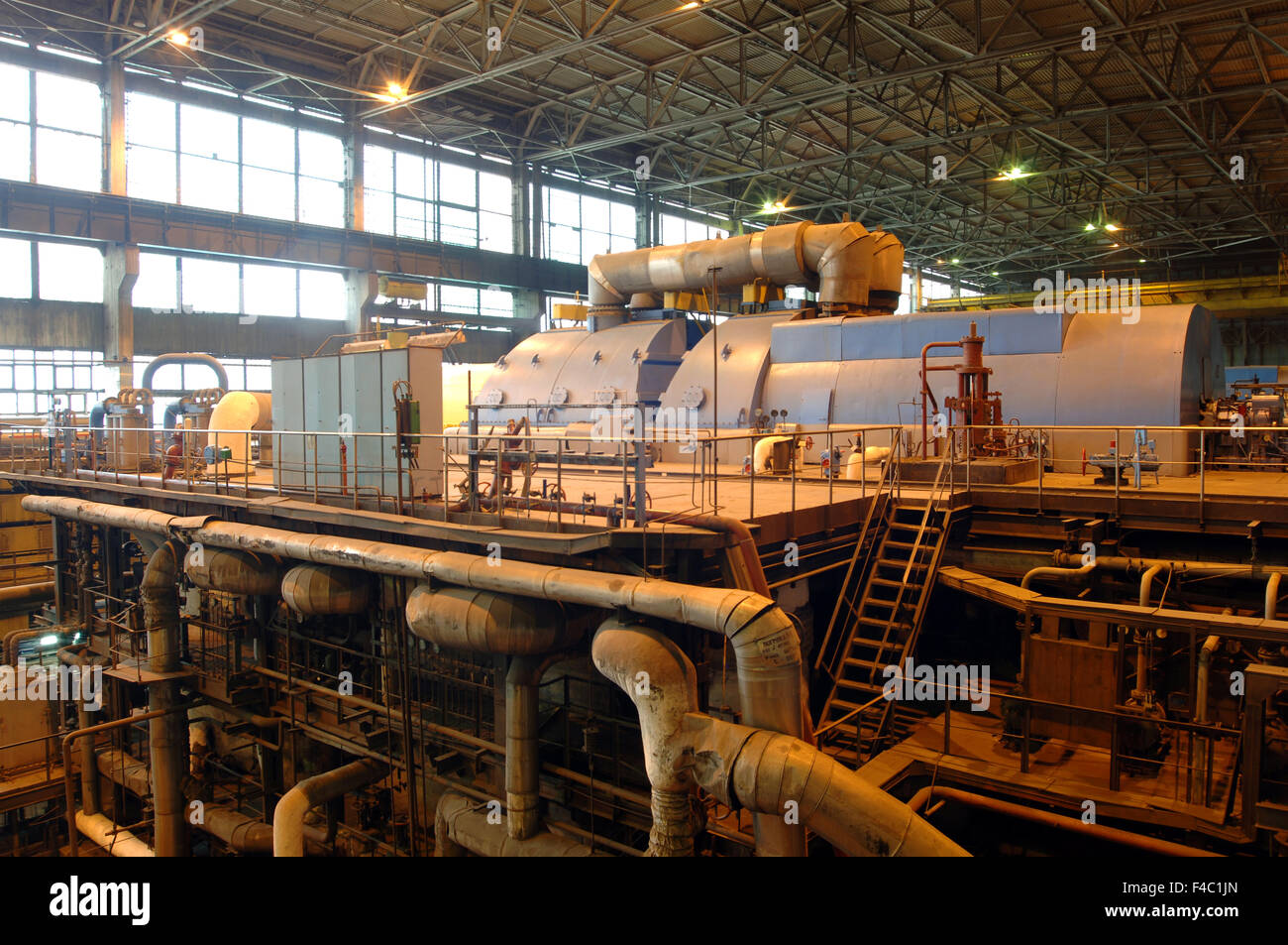 plant's energy plant Stock Photo - Alamy