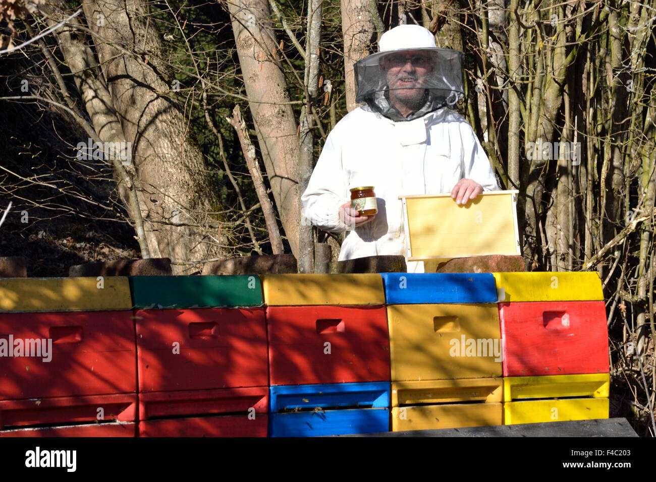 Waben gelb hi-res stock photography and images - Alamy