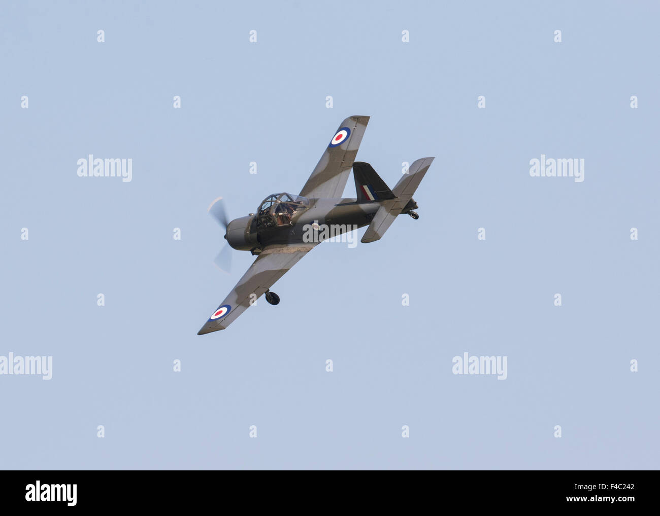 Percival provost aircraft hi-res stock photography and images - Alamy