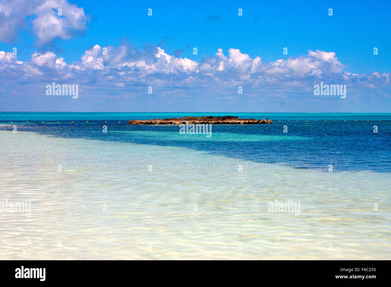 coastline and rock of isla contoy mexico Stock Photo - Alamy
