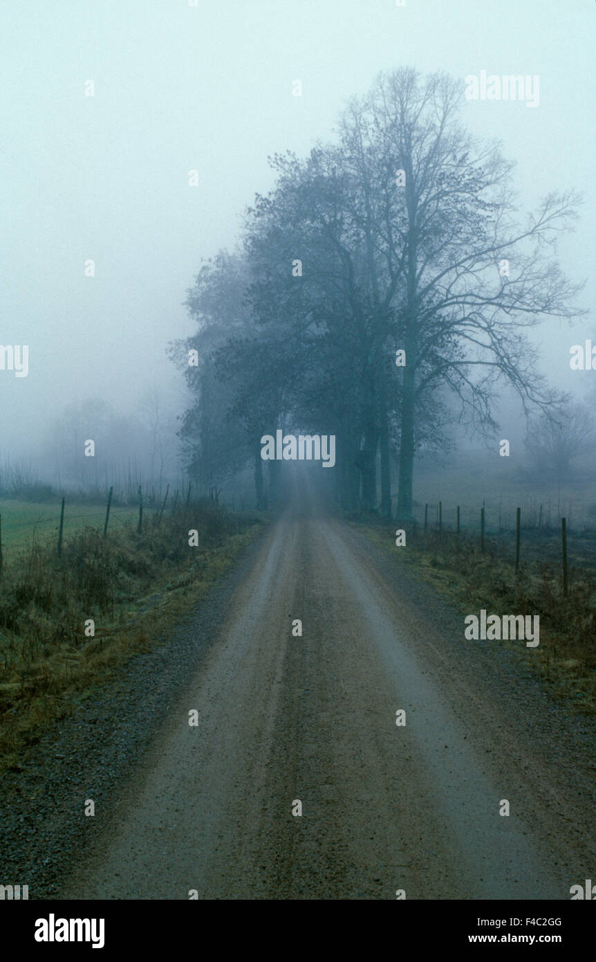 A Road in Hazy Weather Stock Photo - Alamy