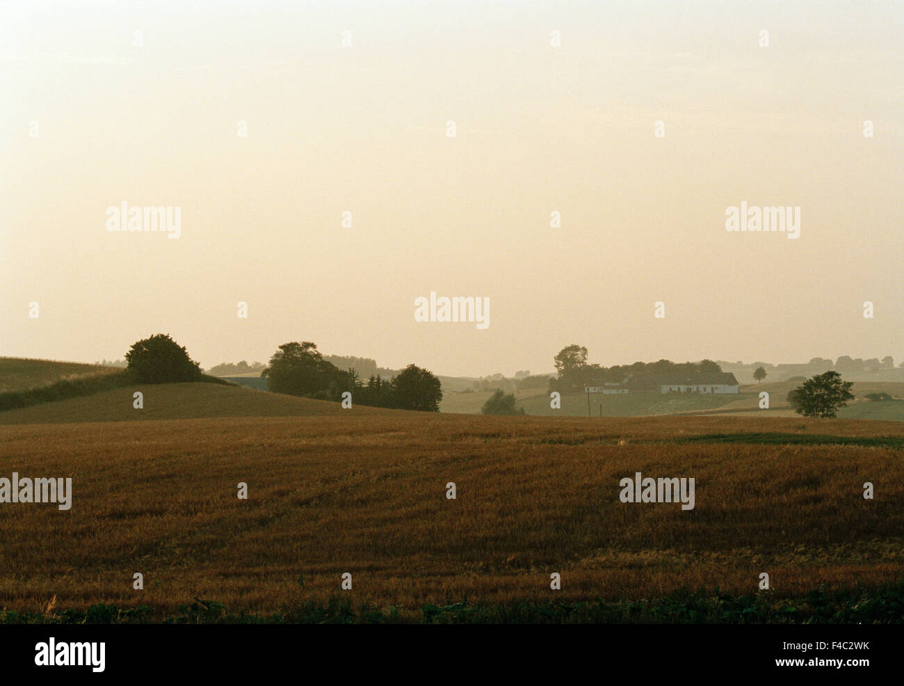 Fields in a Foggy Landscape Stock Photo - Alamy