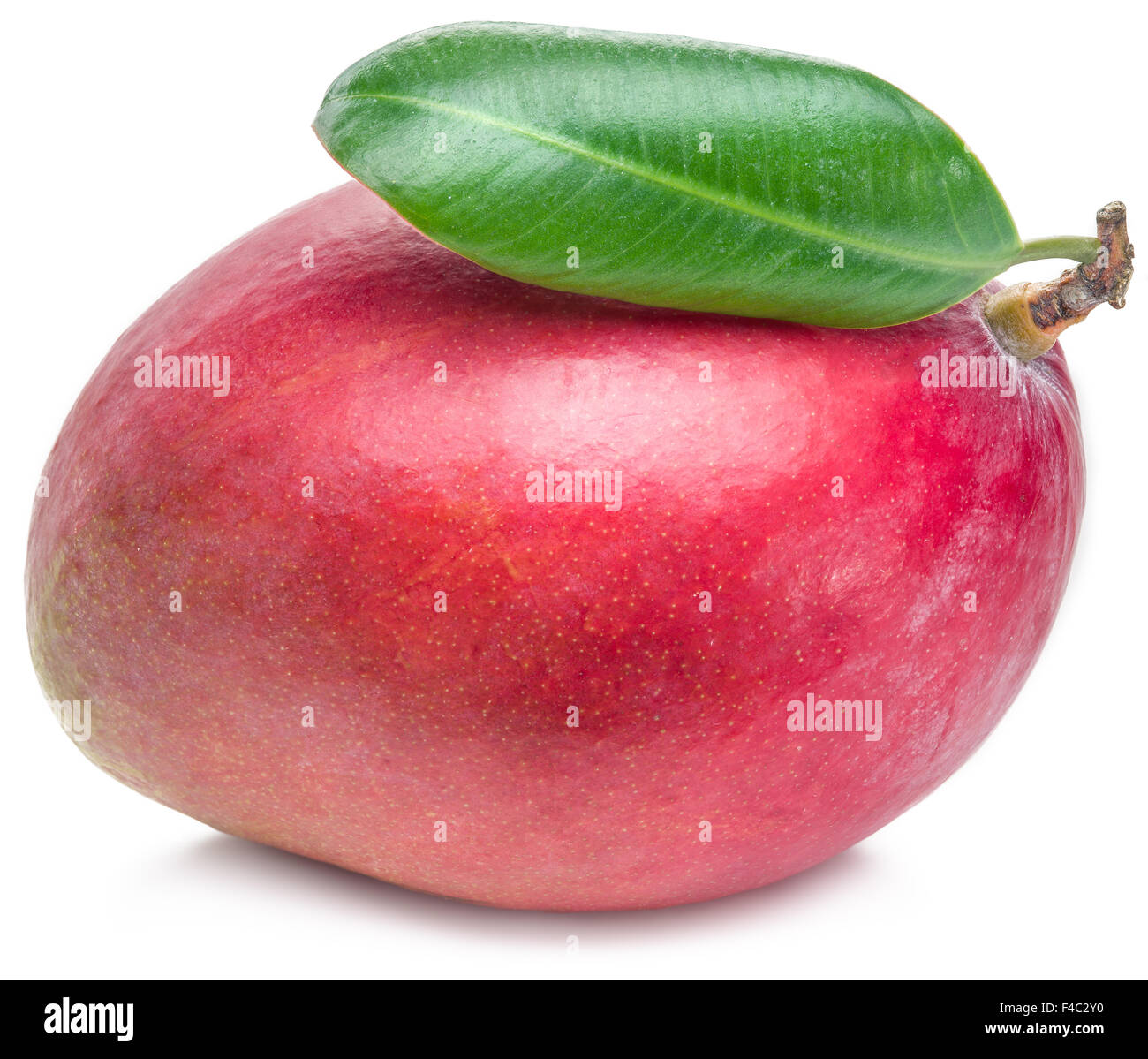 Mango with leaf hi-res stock photography and images - Alamy