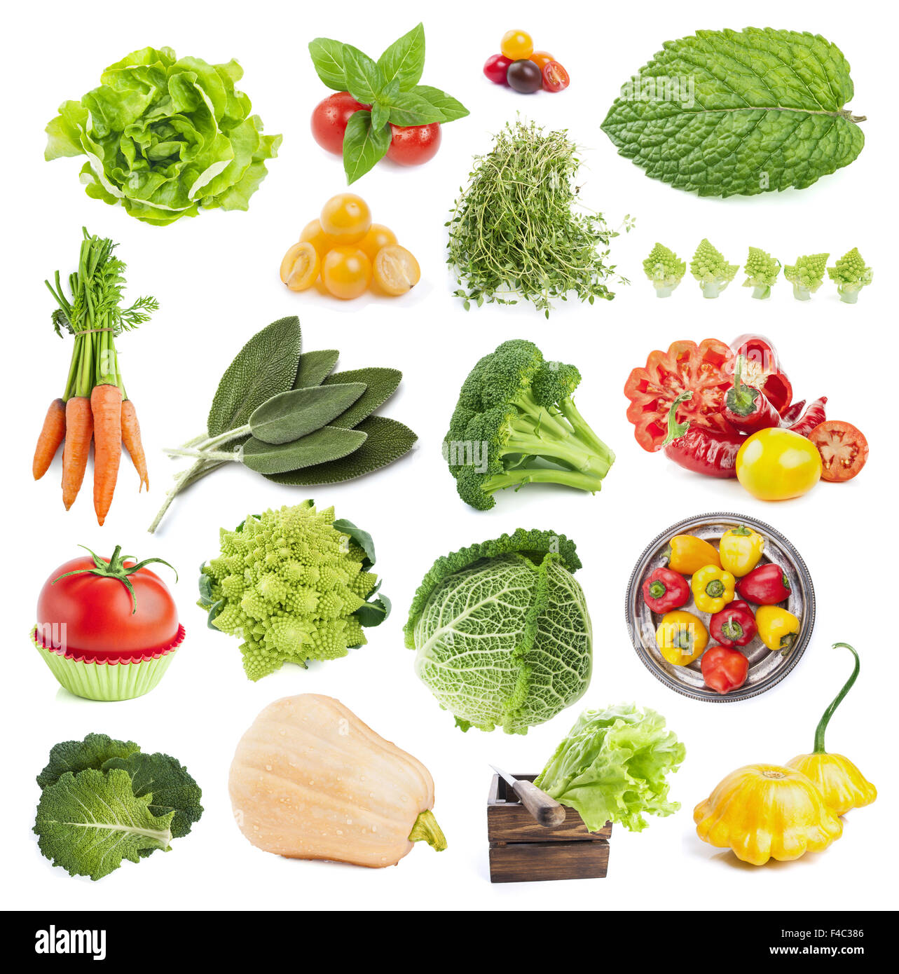 Collection of vegetables isolated on white Stock Photo - Alamy