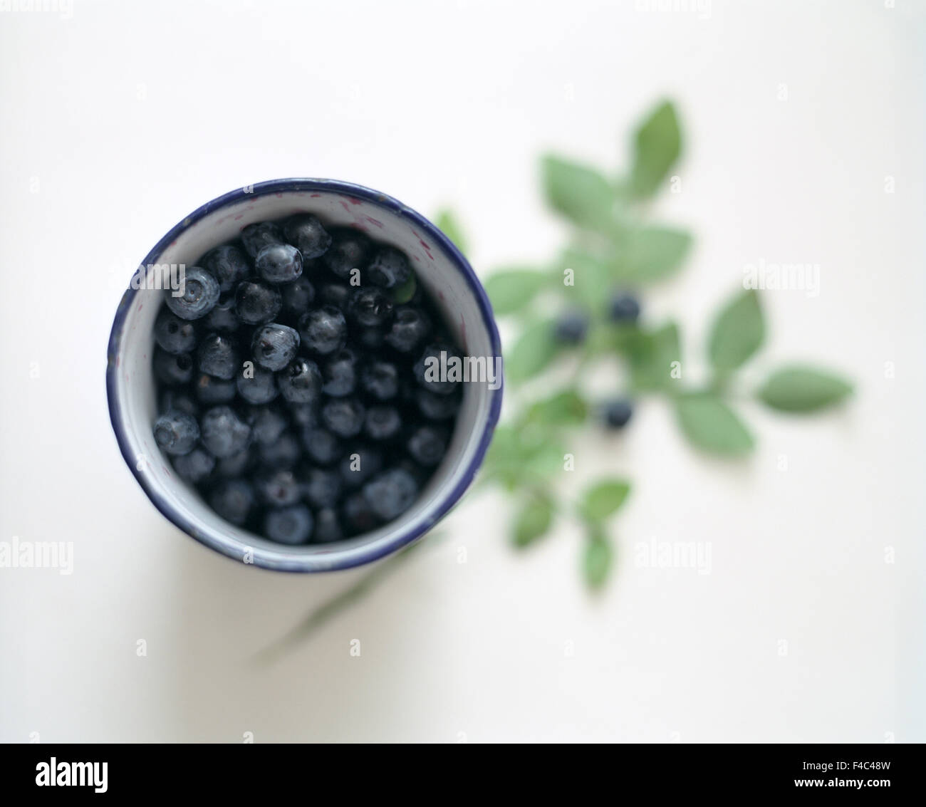 Blueberries photographed from above Stock Photo - Alamy