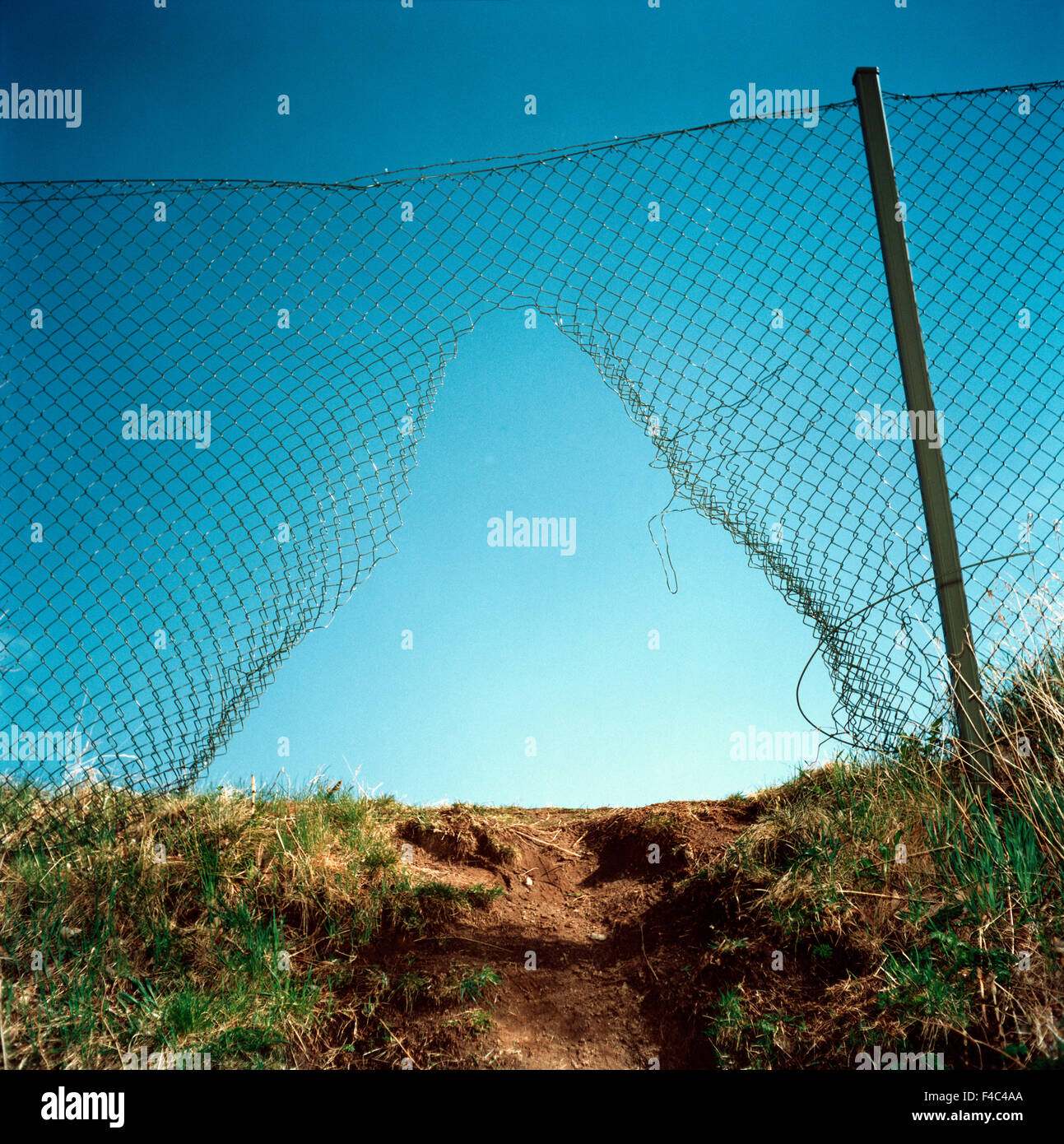 A Hole in a Fence Stock Photo - Alamy