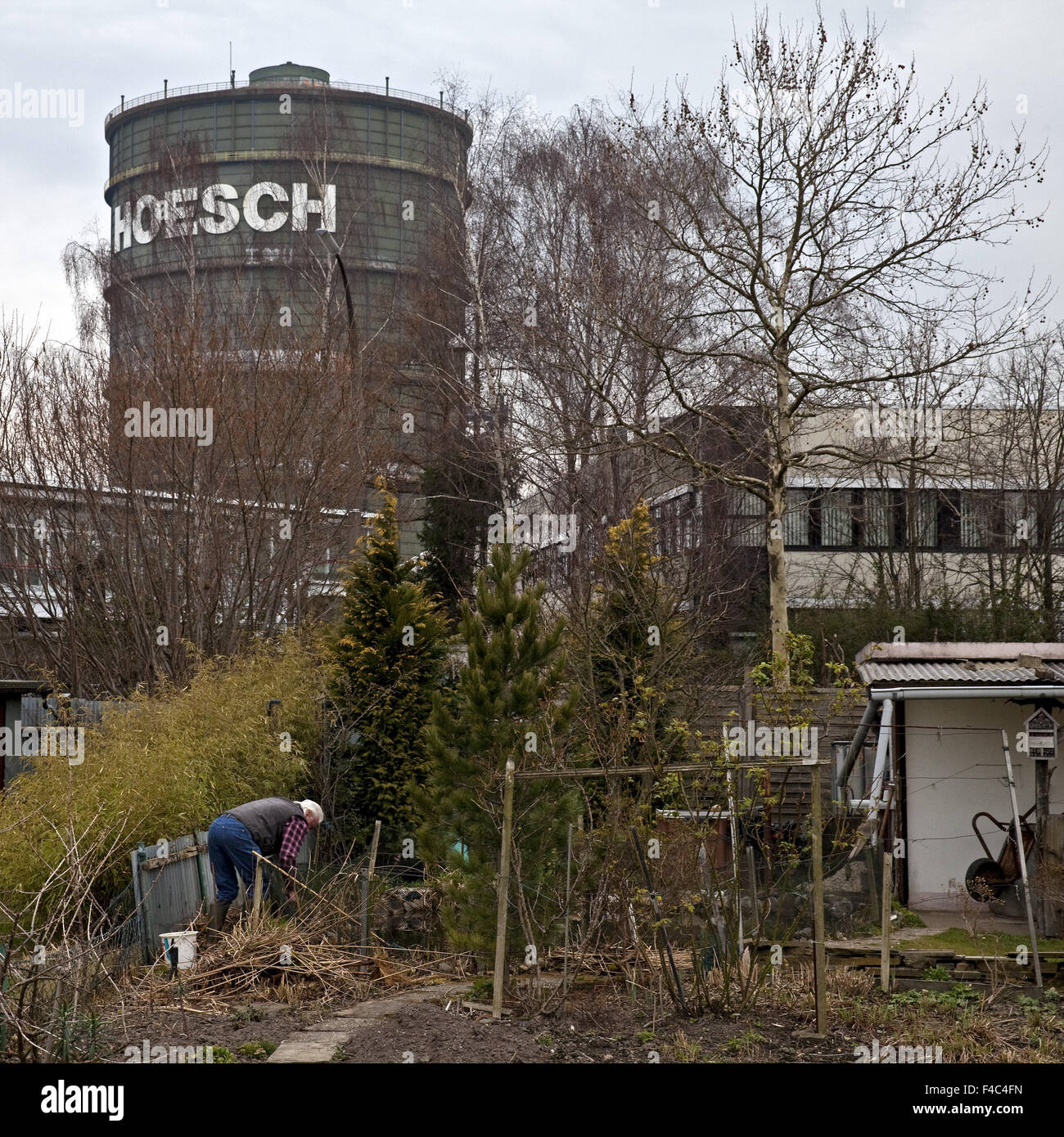 Allotments with Gasometer, Dortmund, Germany Stock Photo - Alamy